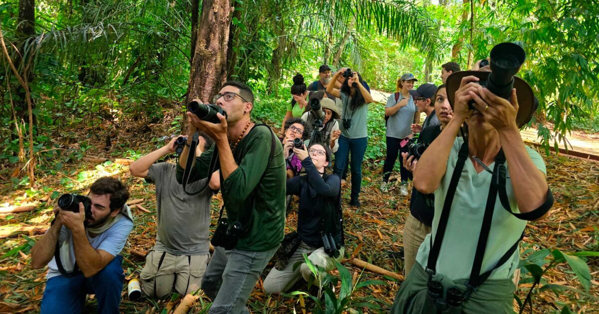 Discover 5 Iconic Birds of Peru on Your Next Trip | Travel tips